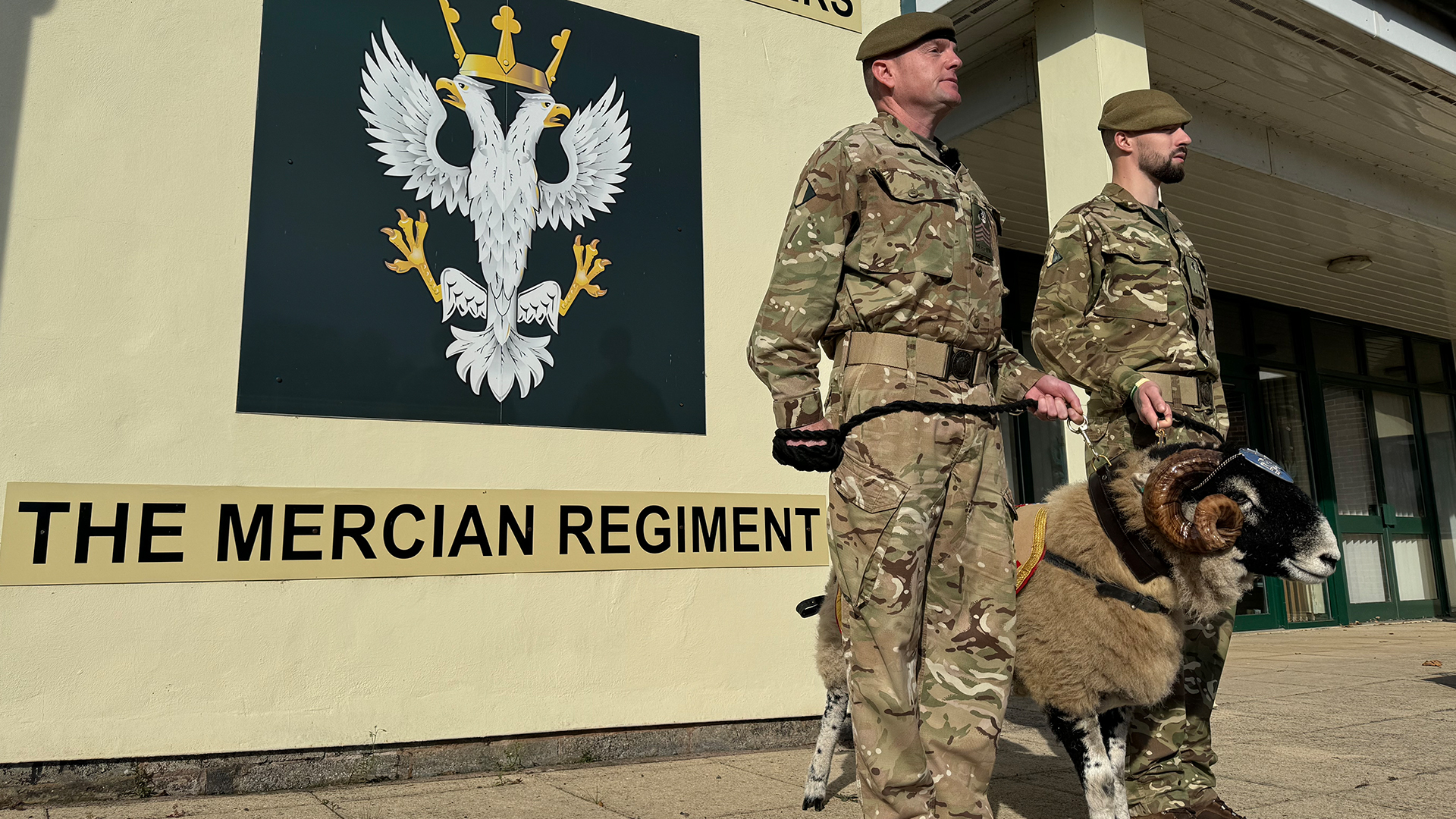 He'll get there in the end: Mercians' new mascot proves a bit of a challenge